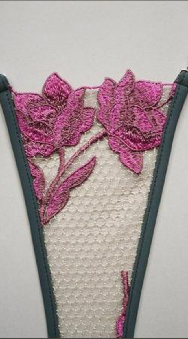 Sheer Knickers & See Through Panties | BEDTIME FLIRT